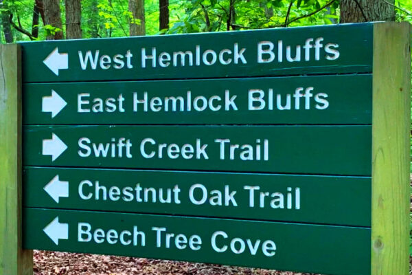 Triangle MLS Search - Harmony Realty