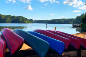 Triangle MLS Search - Harmony Realty